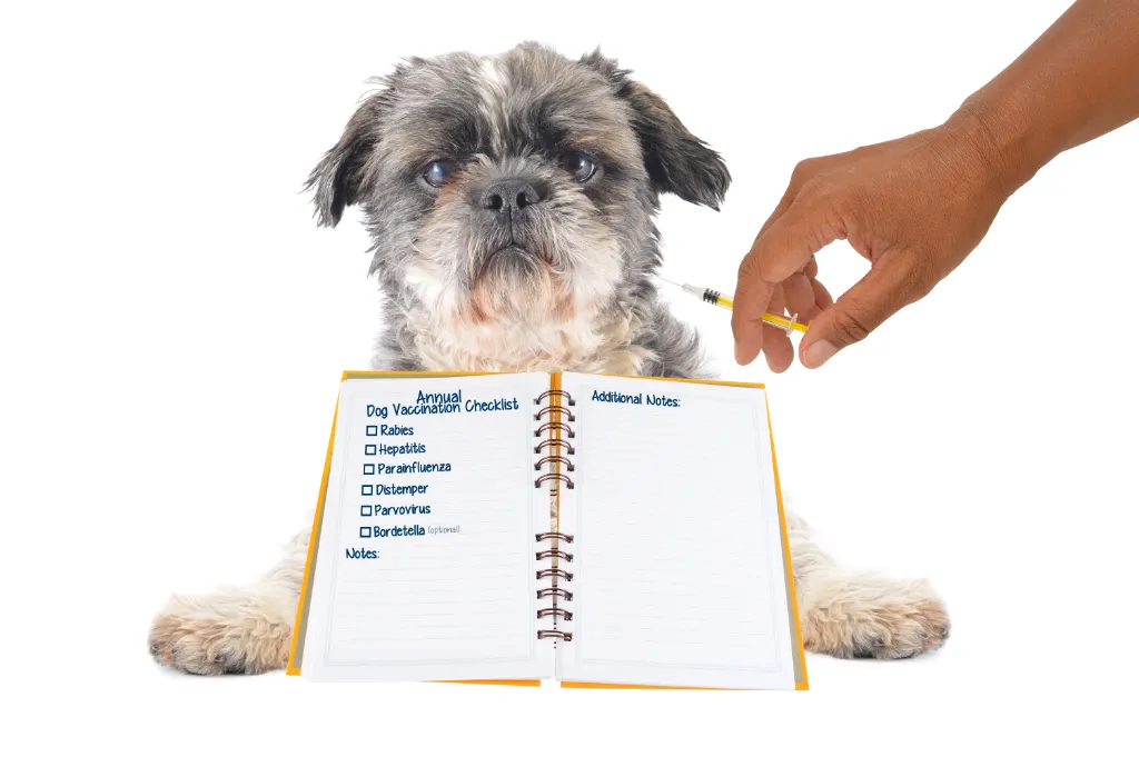 Dog and Puppy Checklist 2021 » Fayie Pet World
